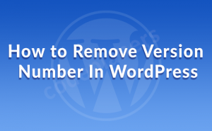 How to Remove Version Number In WordPress - remove version number